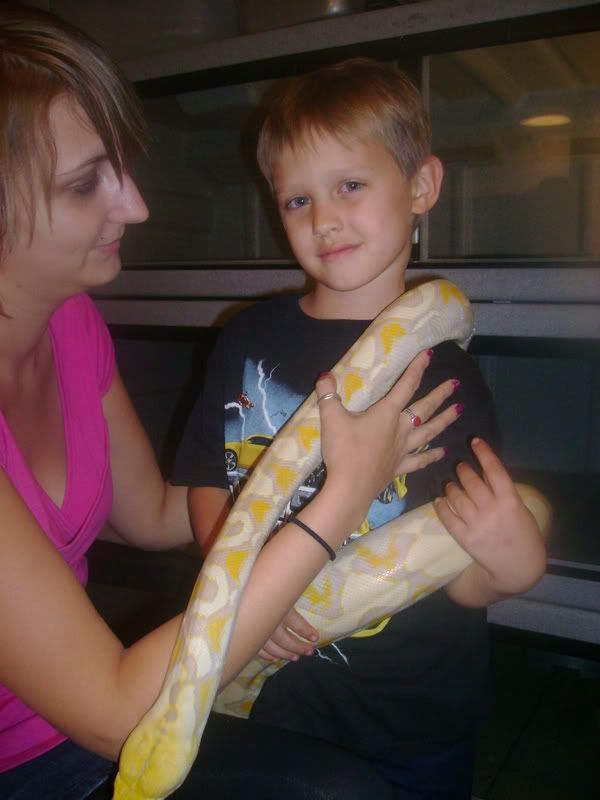 The Reticulated Python Thread | Page 8 | Reptile Forums